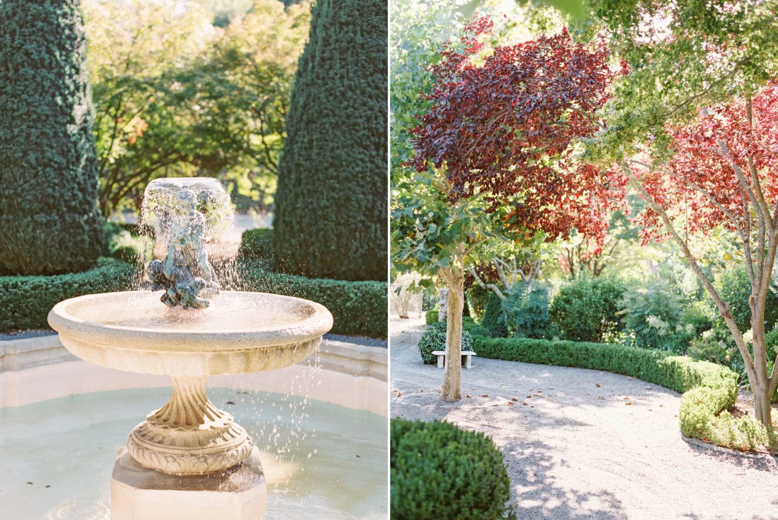 Beaulieu Garden Wedding Editorial - Beaulieu Garden Film Photography